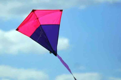 8 différents types de cerfs-volants et comment les piloter | Objectif ...